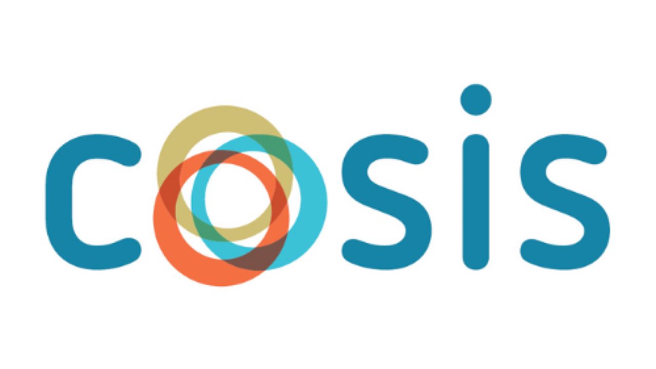 Organisatiestructuur › Cosis