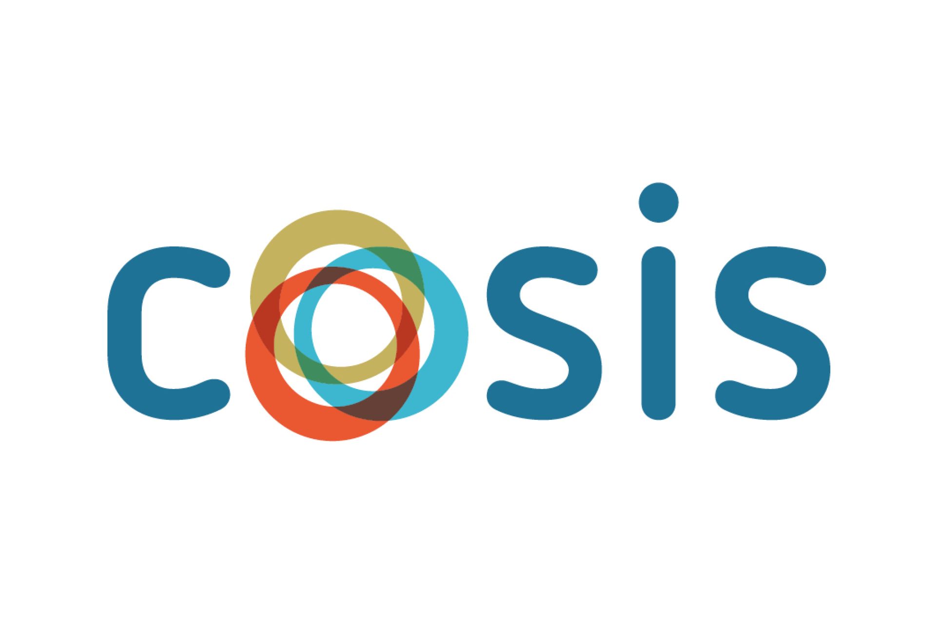 Werken, dagbesteding en leren | Cosis Kunst