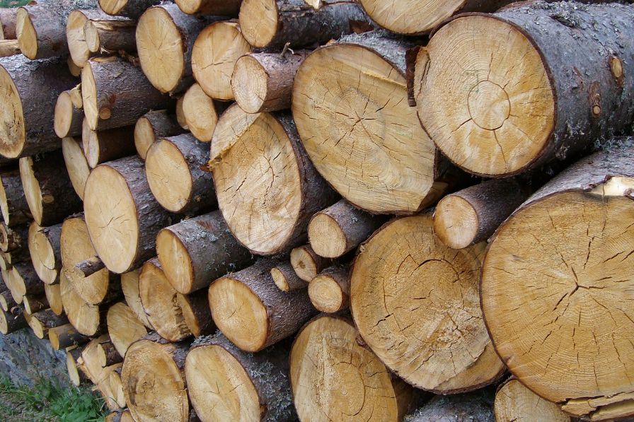 Cosis Hout › Cosis
